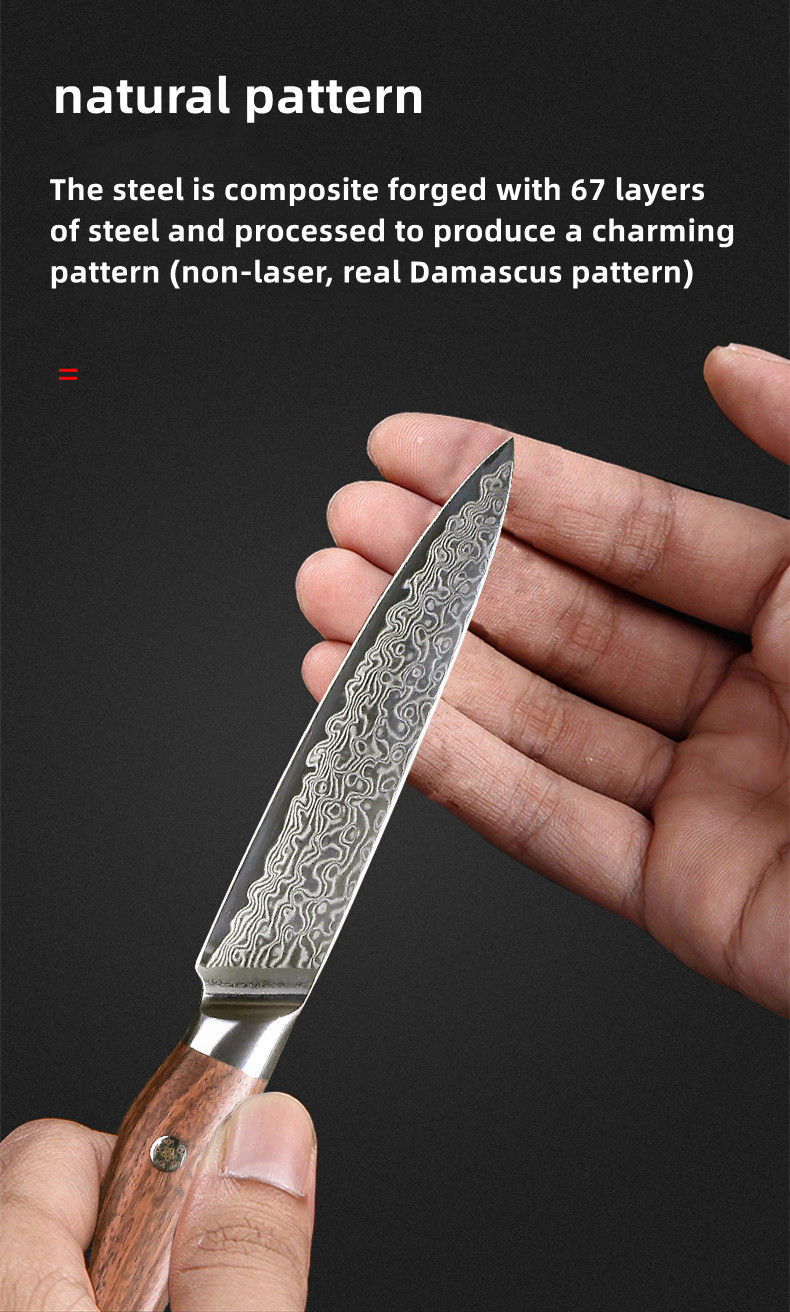 fruit knife for chef meat cleaver with damascus VG10 kitchen paring knives | smartcook libiang